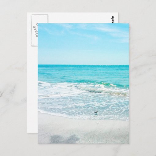 Tropical Beach Sand Ocean Waves Sea Shells Gulf Postcard | Zazzle
