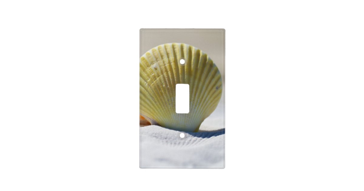 Tropical Beach Seashell Light Switch Cover | Zazzle