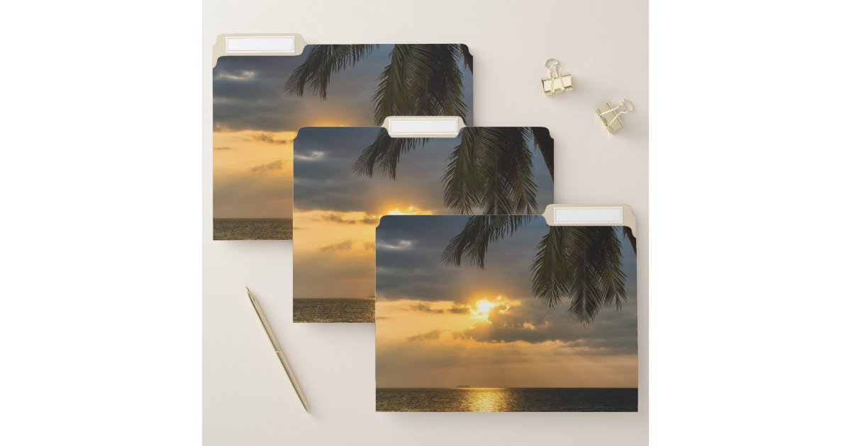Tropical Beach Sunset, Palm File Folder | Zazzle