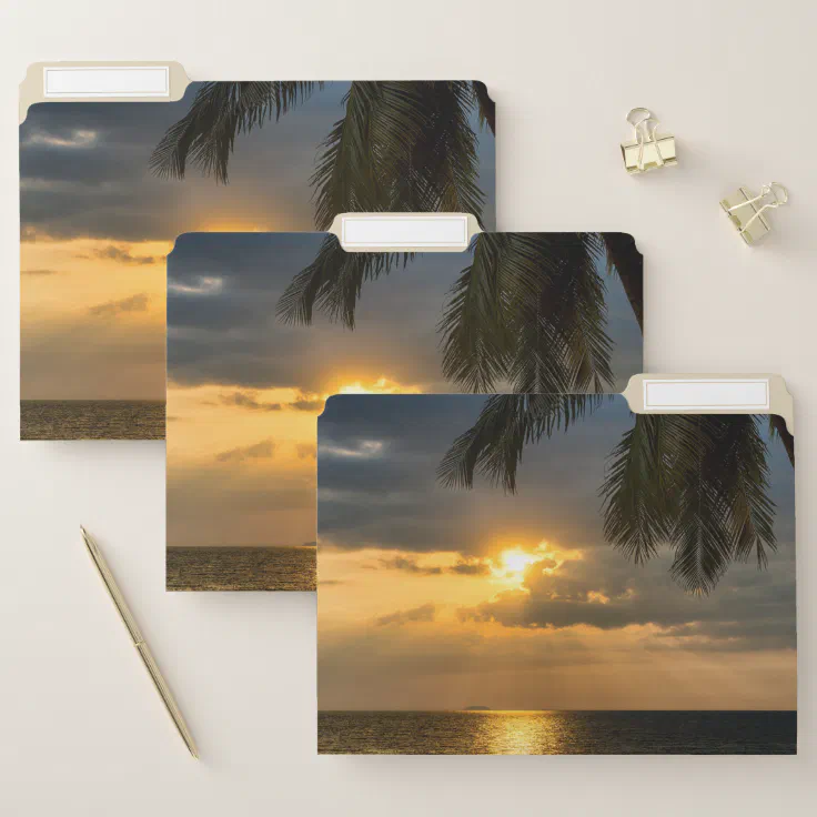 Tropical Beach Sunset, Palm File Folder | Zazzle