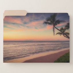 Tropical Beach,Sunset, Palm,Seashell File Folder | Zazzle