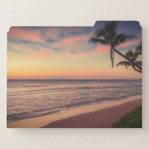 Tropical Beach,Sunset, Palm,Seashell File Folder | Zazzle