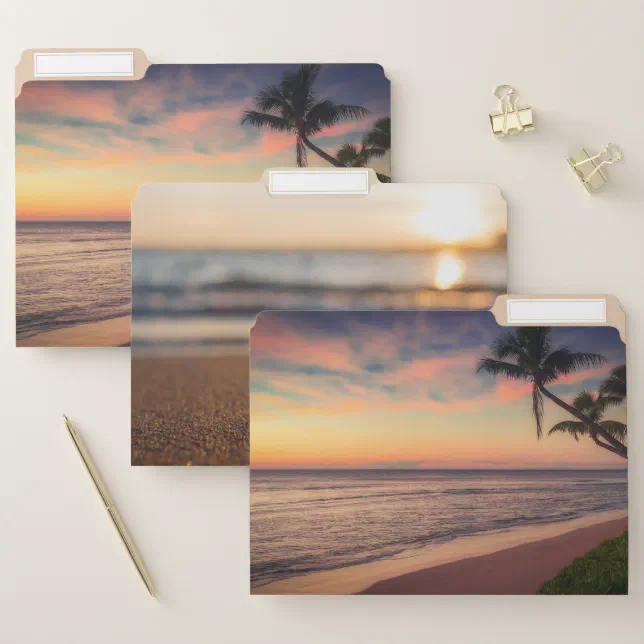 Tropical Beach,Sunset, Palm,Seashell File Folder | Zazzle