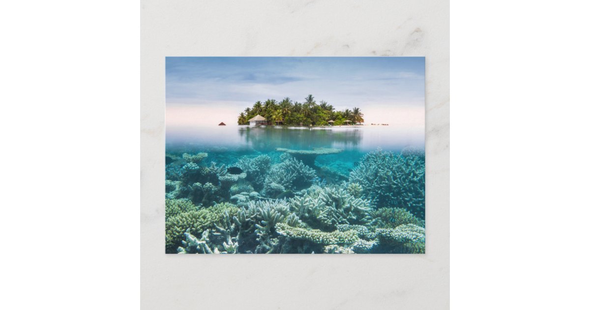 Tropical Beaches | Ari Atoll Maldives Postcard | Zazzle