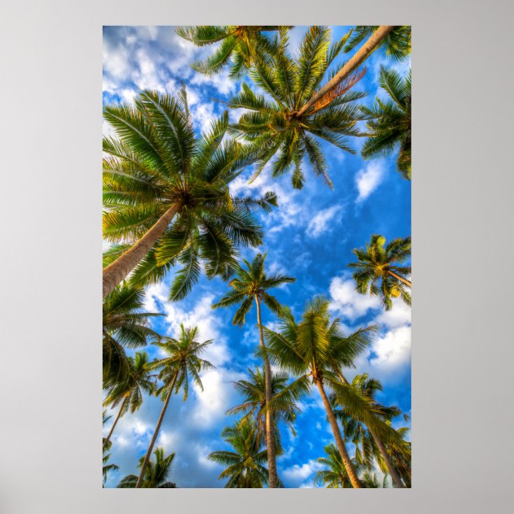 Tropical Beaches | Palm Trees on Blue Sky Poster | Zazzle