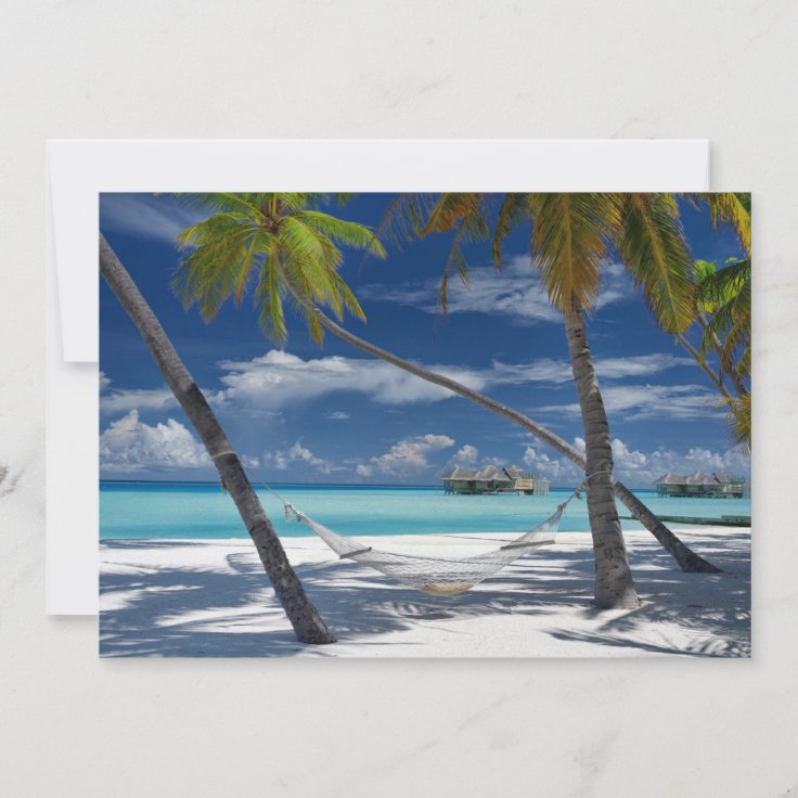 Tropical Beaches | Sandy Beach, Maldives Thank You Card | Zazzle