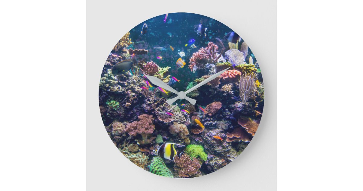 Tropical Beaches | Underwater Coral Reef Large Clock | Zazzle