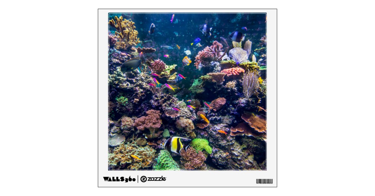 Tropical Beaches | Underwater Coral Reef Wall Decal | Zazzle
