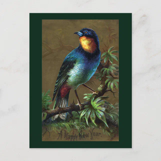 Tropical Bird Happy New Year Holiday Postcard | Zazzle