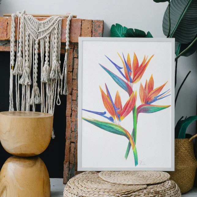 Tropical Bird Of Paradise Drawing Poster | Zazzle