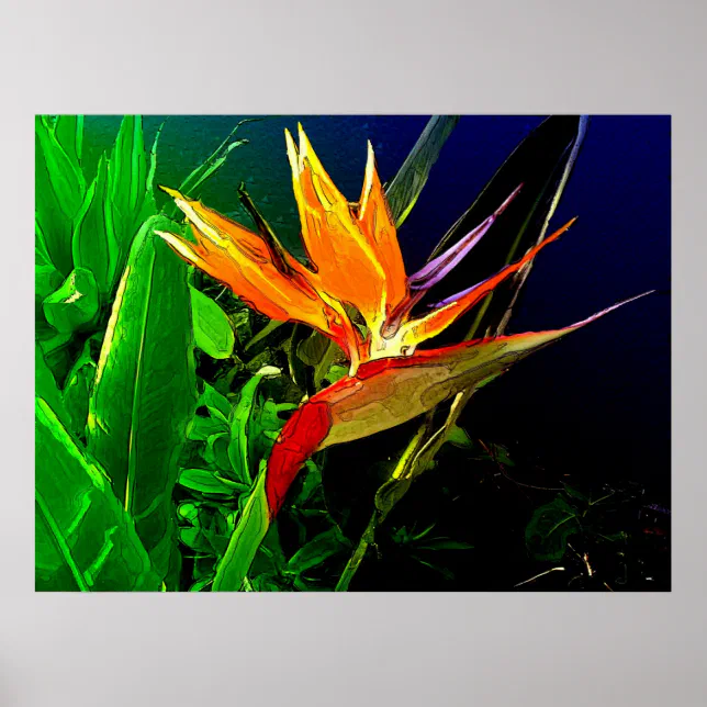 Tropical Bird Poster | Zazzle