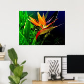 Tropical Bird Poster | Zazzle