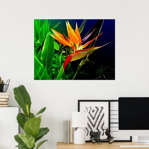 Tropical Bird Poster | Zazzle