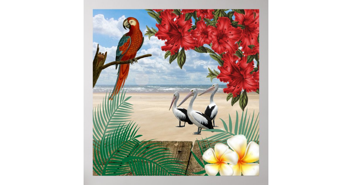 Tropical Birds on the Beach Poster | Zazzle