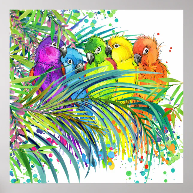 Tropical Birds / Science Teacher Poster | Zazzle