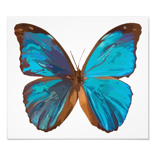 Tropical Blue and Turquoise Gem Butterfly Photo Print | Zazzle.com