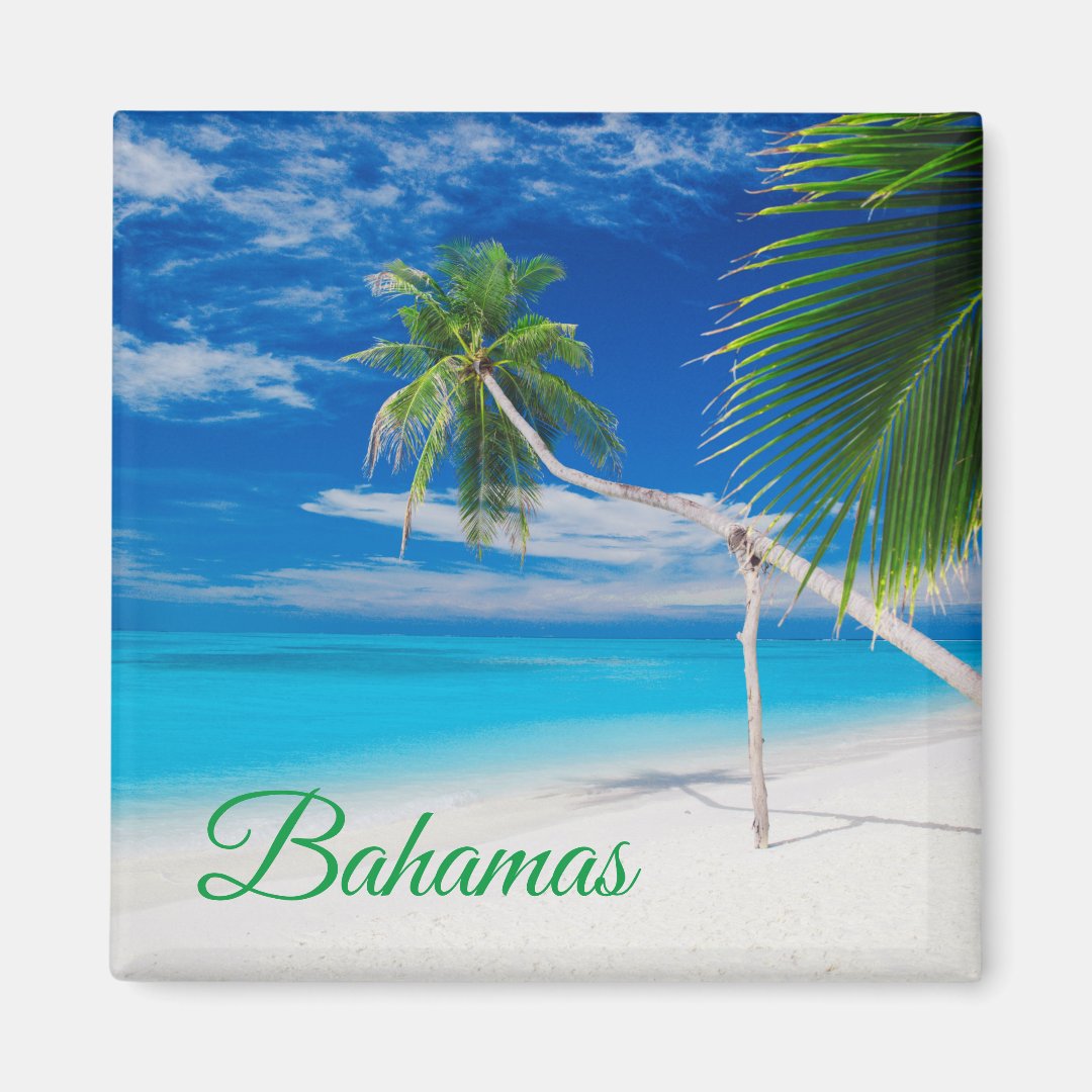 Tropical Blue Exotic Bahamas Beach Palms Magnet | Zazzle