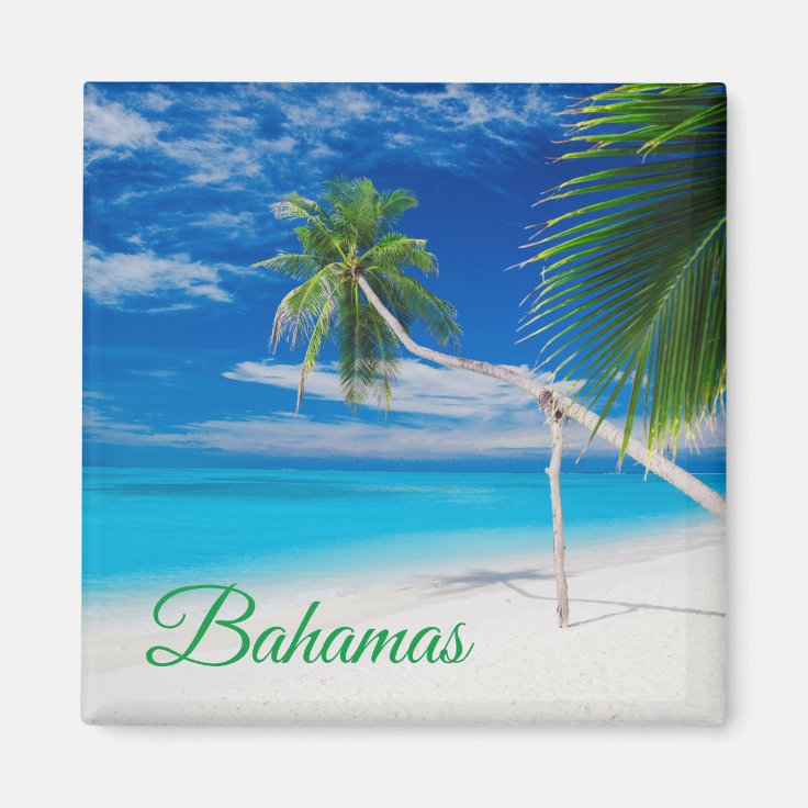 Tropical Blue Exotic Bahamas Beach Palms Magnet | Zazzle