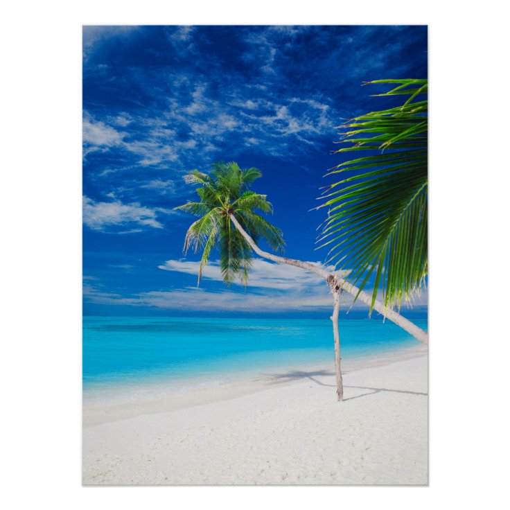 Tropical Blue Exotic Bahamas Beach Palms Poster | Zazzle