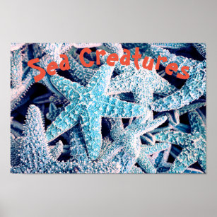 Blue Sea Starfish Posters & Photo Prints | Zazzle