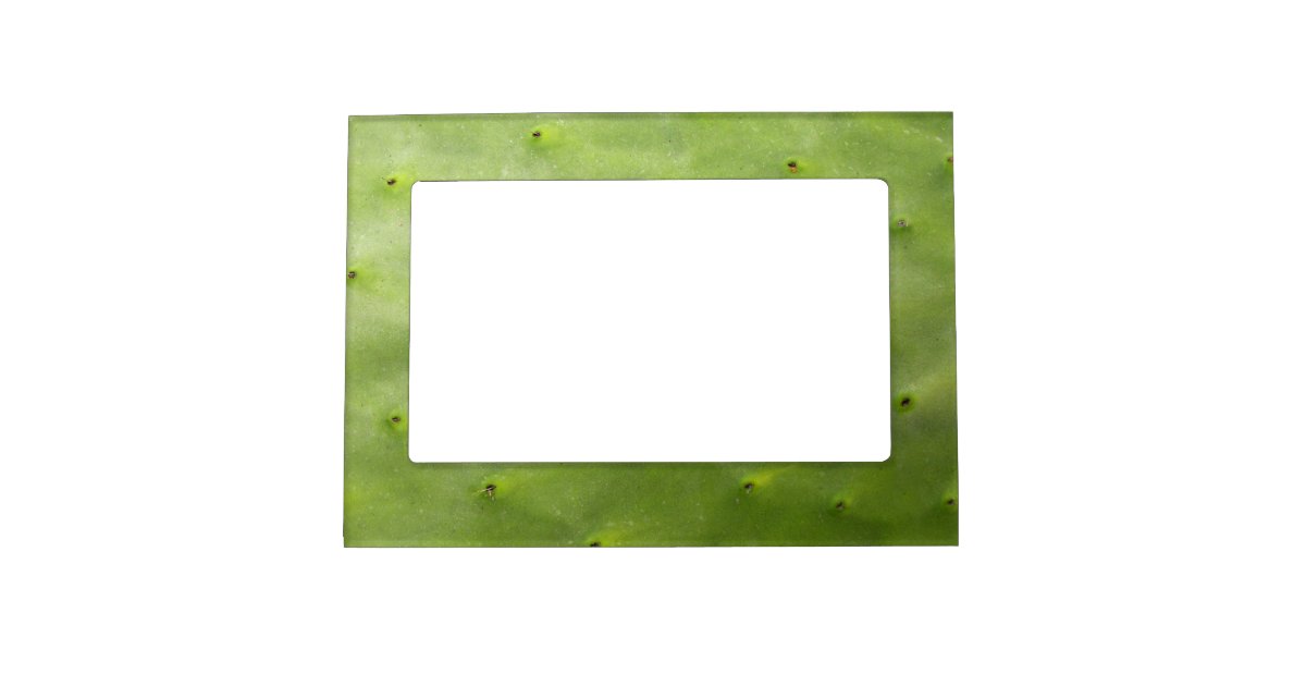 Tropical Botanical Green Cactus Photo Magnetic Photo Frame | Zazzle