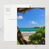 Tropical Caribbean Beach Postcard | Zazzle