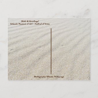 Tropical Coastal Seas & Greetings Beach Christmas Postcard | Zazzle