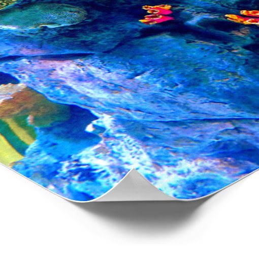 Tropical Colorful Undersea Coral Reef Poster | Zazzle