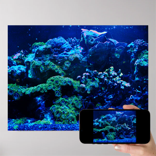 Tropical Coral Reef Poster | Zazzle