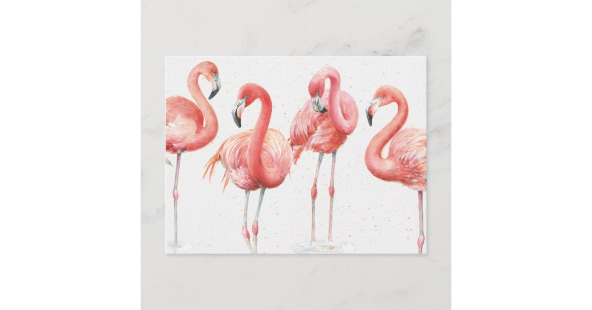 Tropical | Family of Flamingos Postcard | Zazzle