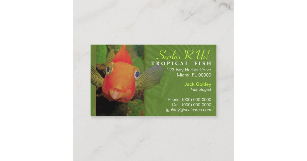Tropical Fish Business Card | Zazzle