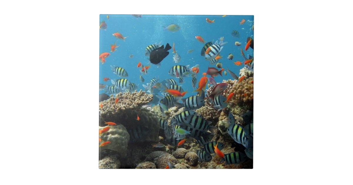 Tropical Fish Chaos Tile | Zazzle