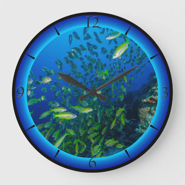 Tropical Fish Great Barrier Reef Coral Sea Large Clock | Zazzle