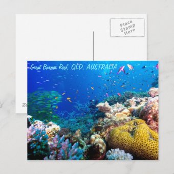 Tropical Fish Great Barrier Reef Coral Sea Postcard | Zazzle