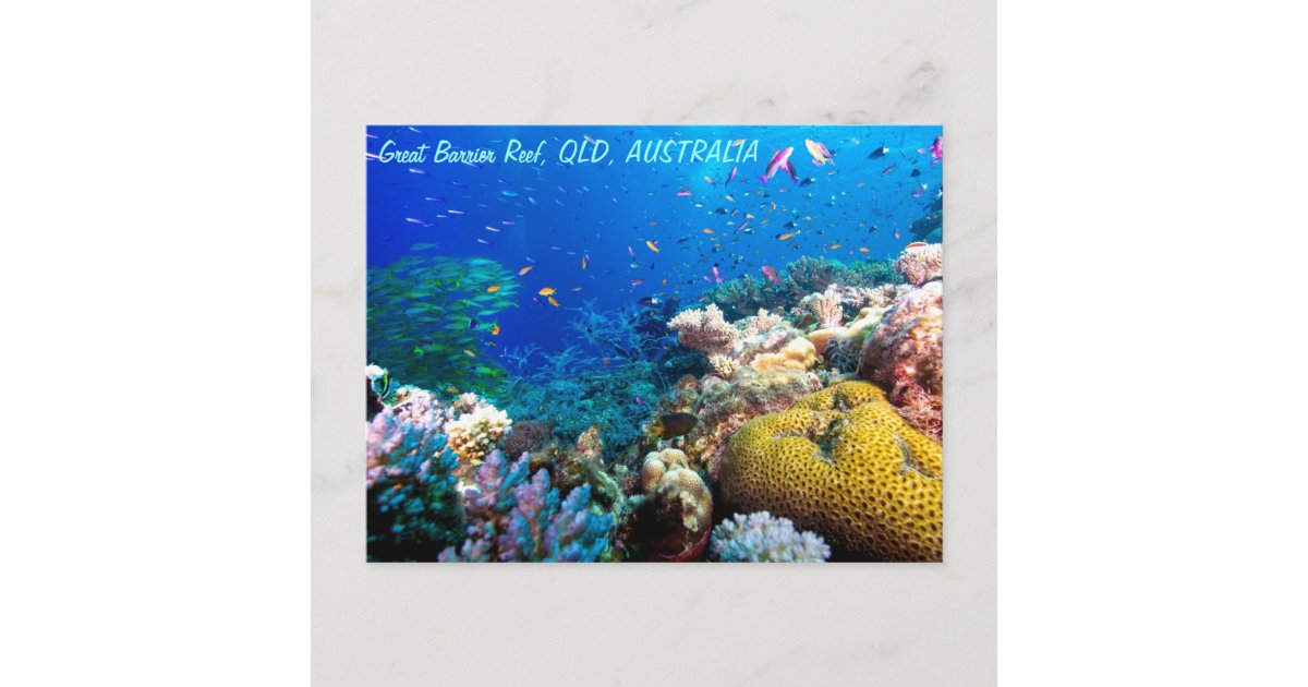 Tropical Fish Great Barrier Reef Coral Sea Postcard | Zazzle