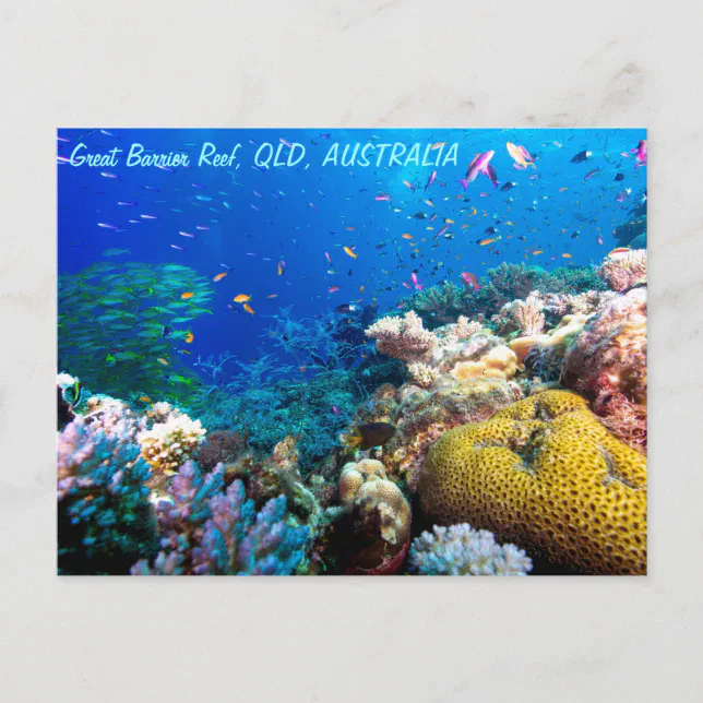 Tropical Fish Great Barrier Reef Coral Sea Postcard | Zazzle