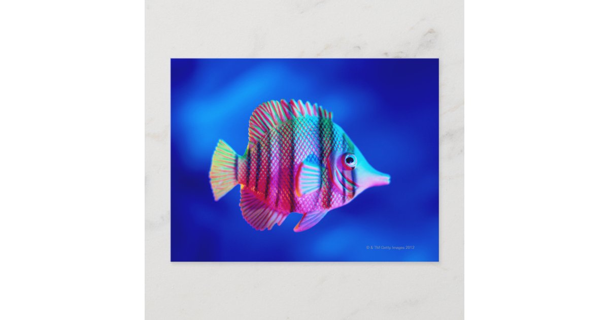 Tropical Fish Postcard | Zazzle