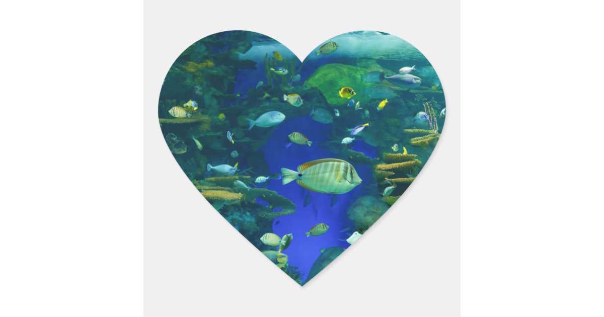 Tropical fish Stickers | Zazzle