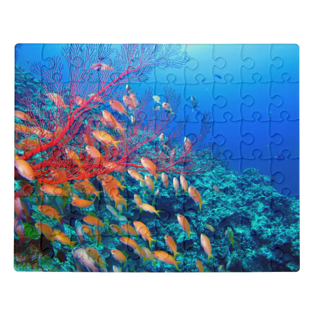 Tropical Fish Undersea Coral Reef Jigsaw Puzzle | Zazzle