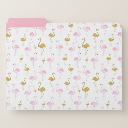 Tropical Flamingo Files / Dividers File Folder | Zazzle