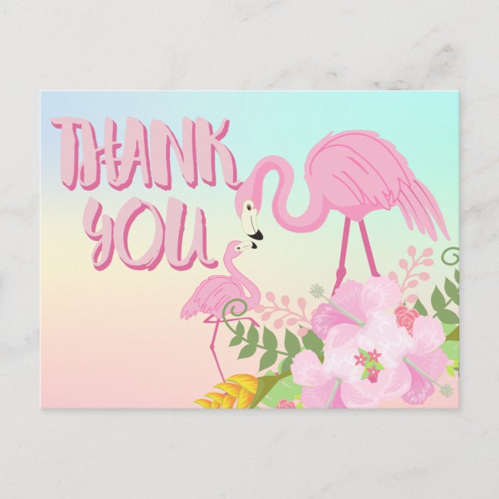 Tropical Flamingo Thank You Postcard | Zazzle.com