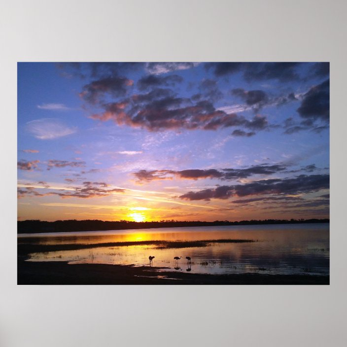 Tropical Florida Sunset Landscape Poster Photo Art | Zazzle.com