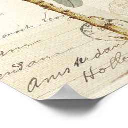 Tropical Floridian Pattern Poster | Zazzle