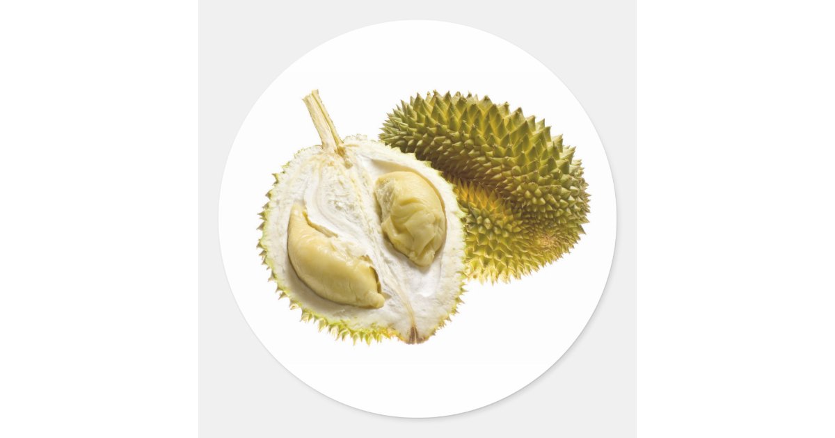 Tropical fruit - Durian Classic Round Sticker | Zazzle