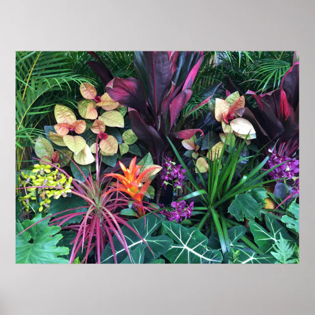 Tropical Hawaiian Flora Poster | Zazzle