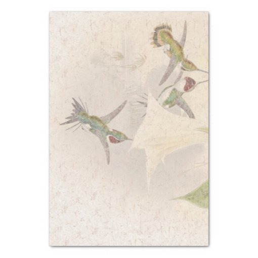 Tropical Hummingbird Birds Floral Tissue Paper | Zazzle