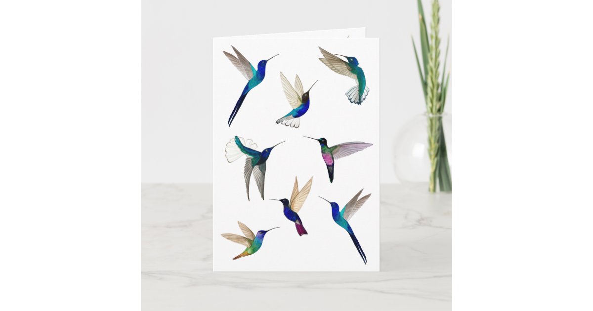 Tropical Hummingbirds Card | Zazzle
