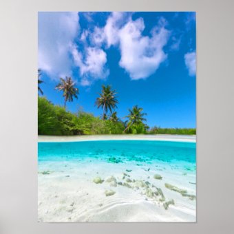 Tropical Island Coconut Palm Beach Poster | Zazzle