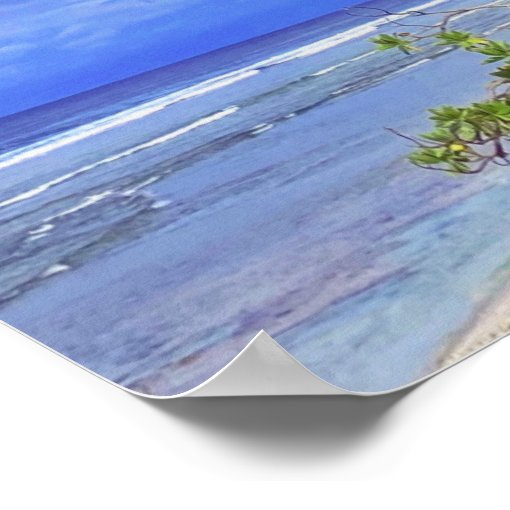 Tropical Island Coconut Palm Tree Dance Poster | Zazzle