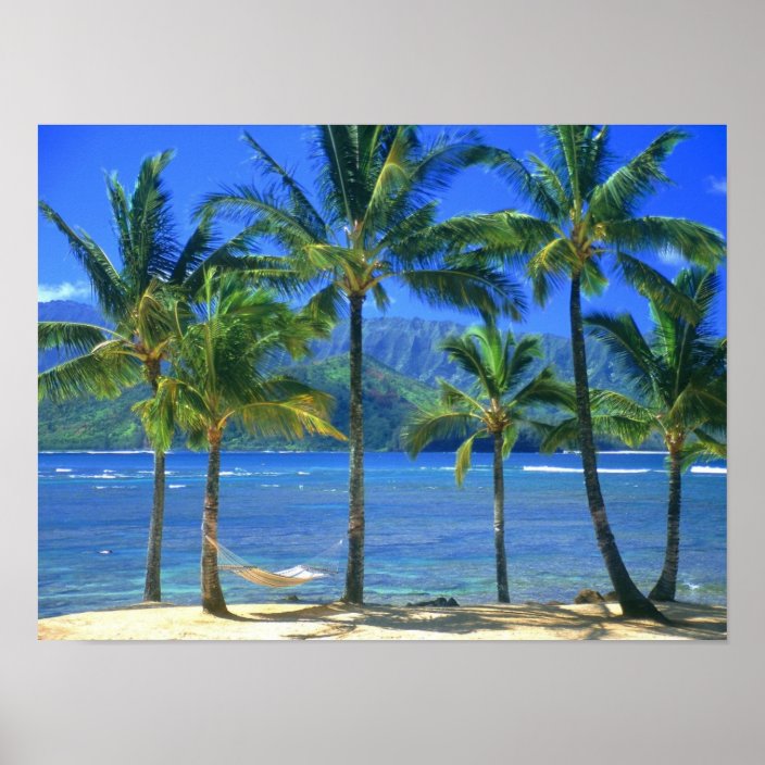Tropical Island Poster | Zazzle.com